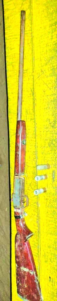 Region 7 man arrested with shotgun, ammo - Guyana Times