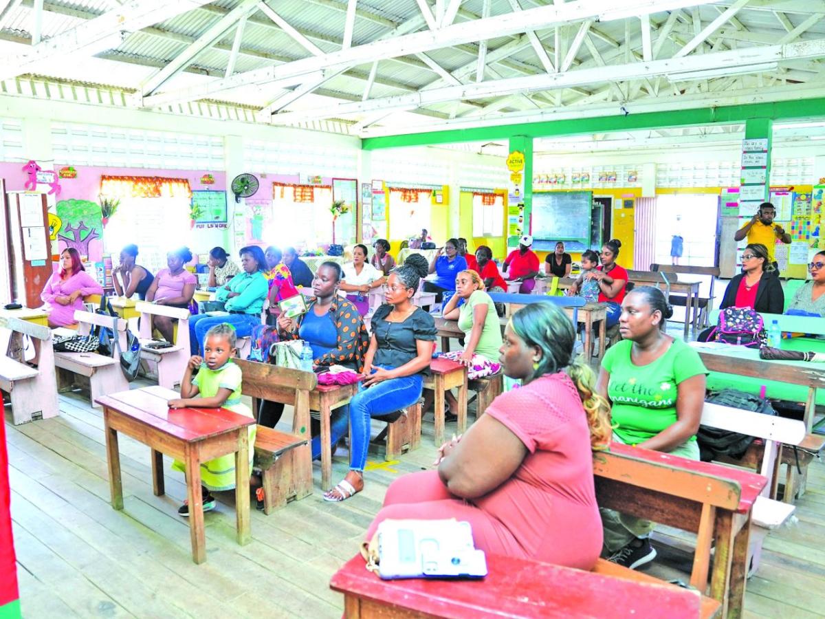 Significant improvements in Den Amstel Primary students’ literacy ...
