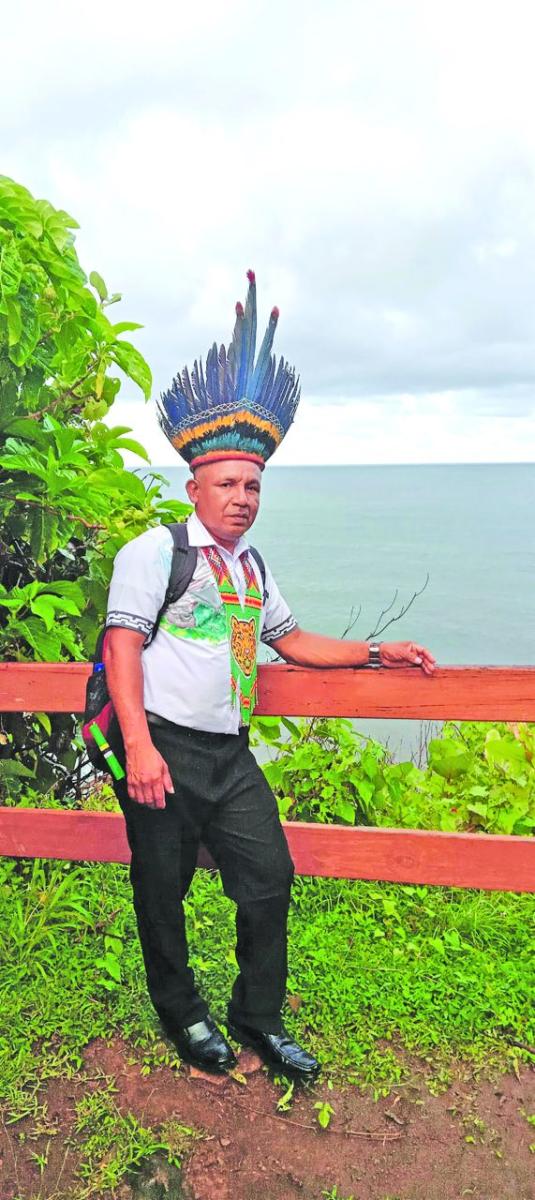 Sale of carbon credits: 135 Amerindian villages submit plans to access funds – NTC Chair ...