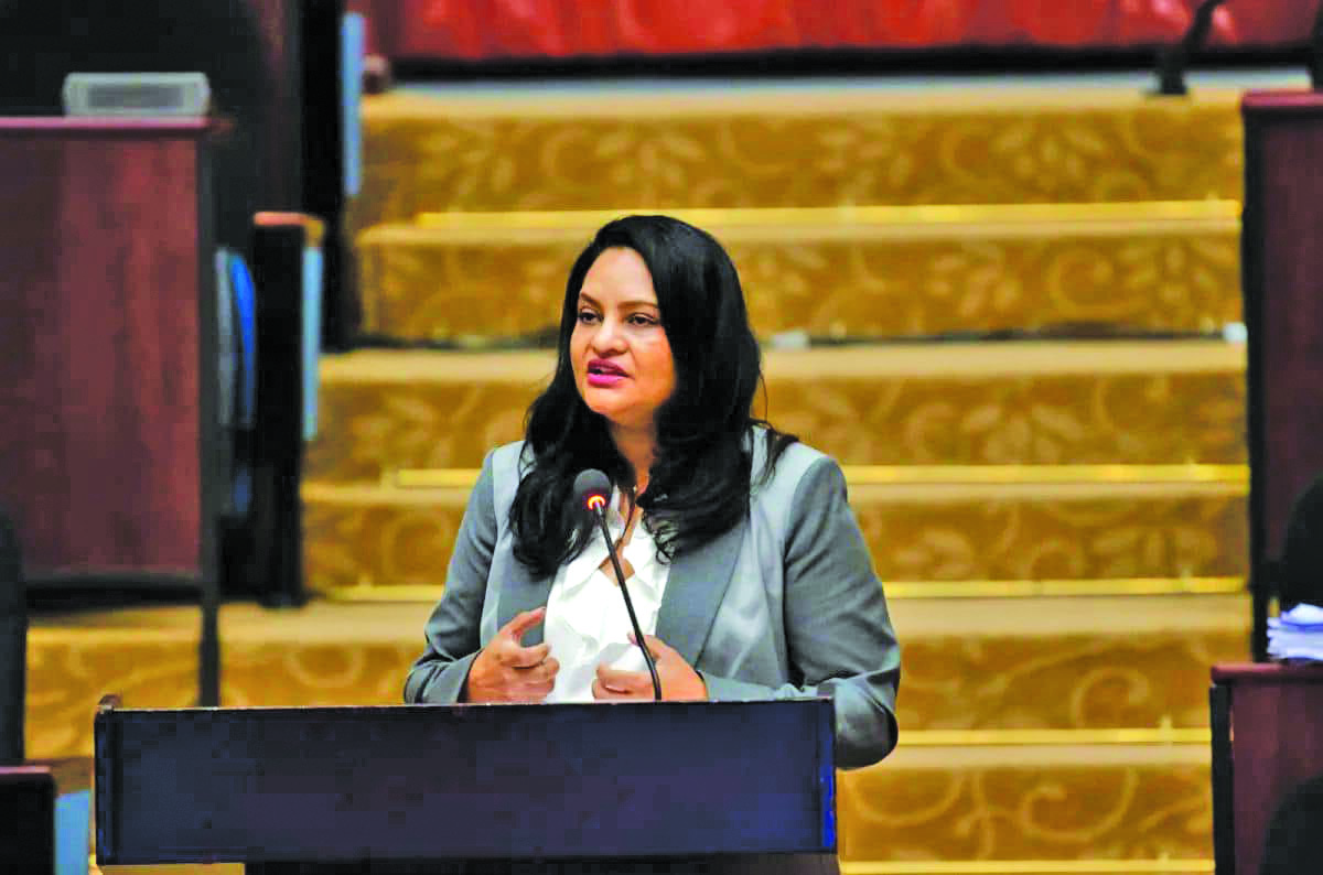 Child Advocacy Centre to be established in Lethem - Guyana Times