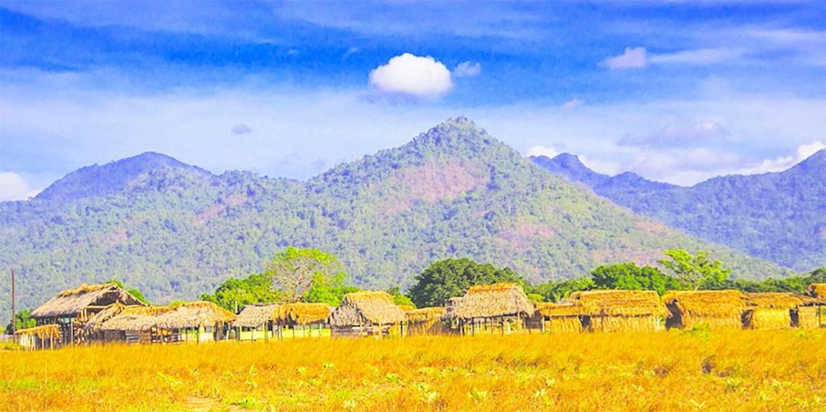 Moco Moco to use $24M carbon credit grant to construct supermarket ...