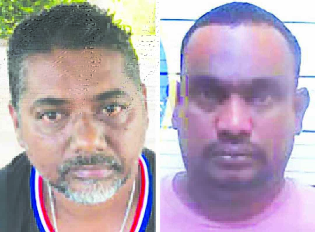 Surinamese gets 3 years, fined for drug trafficking - Guyana Times