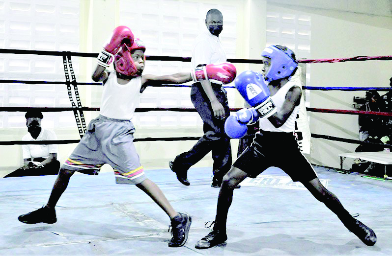 National spots up for grabs at U-16 Boxing Championships - Guyana Times