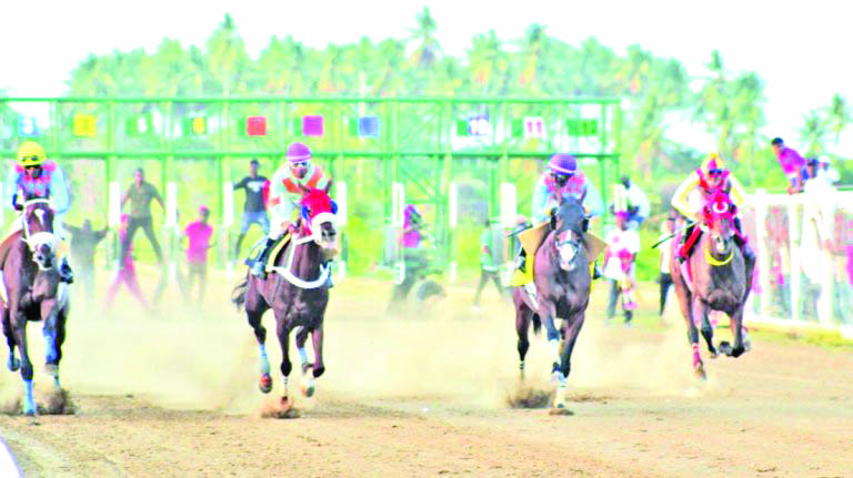 Port Mourant Turf Club July 30 horse race meet: 2-year-old Guyana bred ...