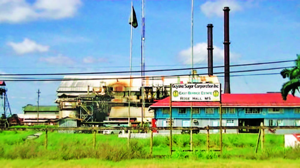 Rose Hall Estate to reopen in mid-September – GuySuCo - Guyana Times