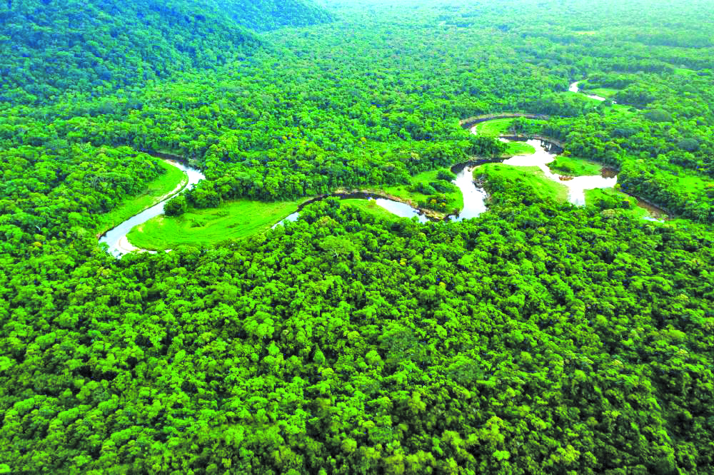 Guyana signs onto IDB’s "Amazonia Forever" project - Guyana Times