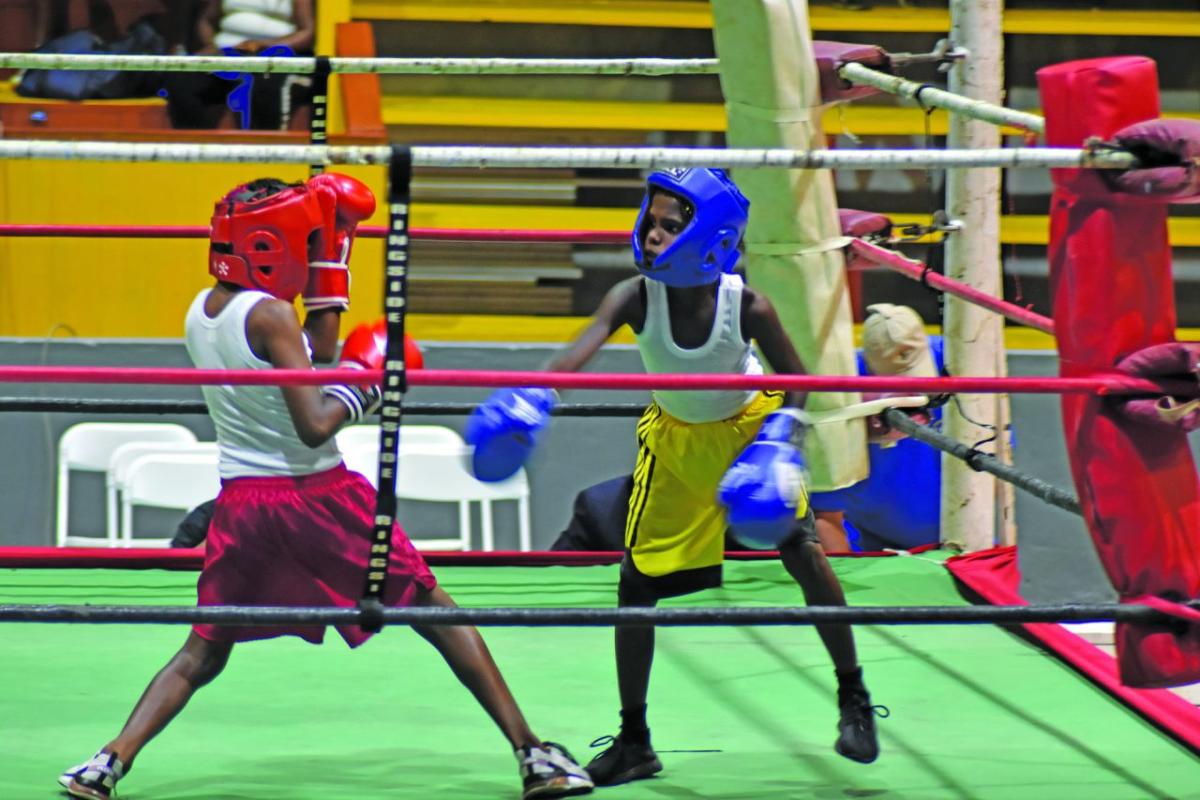 T&T confirm large Winfield Braithwaite tournament contingent - Guyana Times