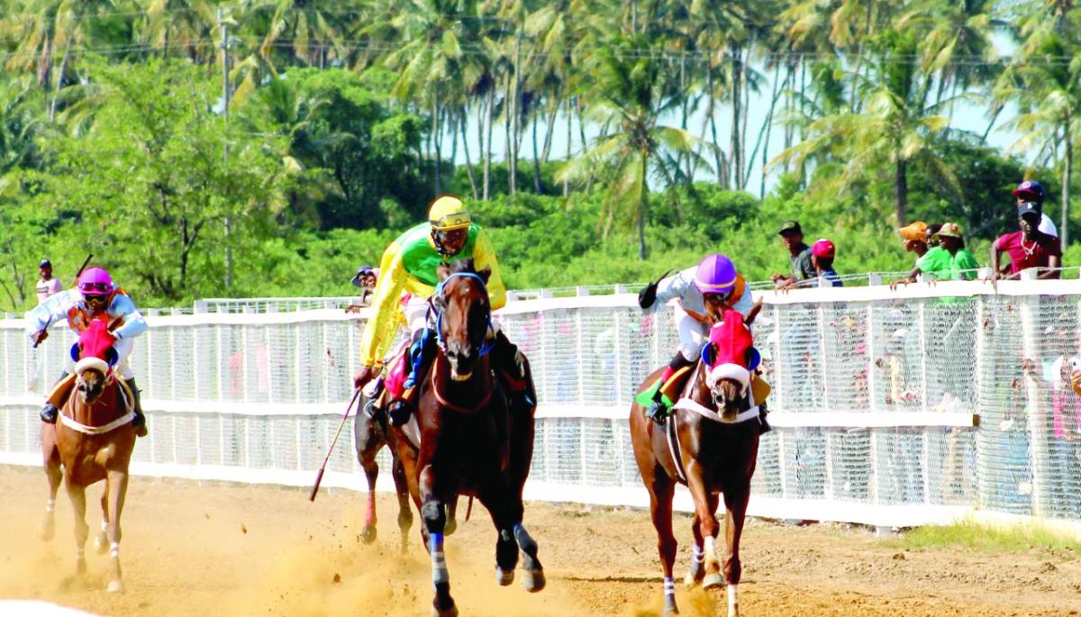 Win at Guyana Cup secures place at President’s Cup - Guyana Times