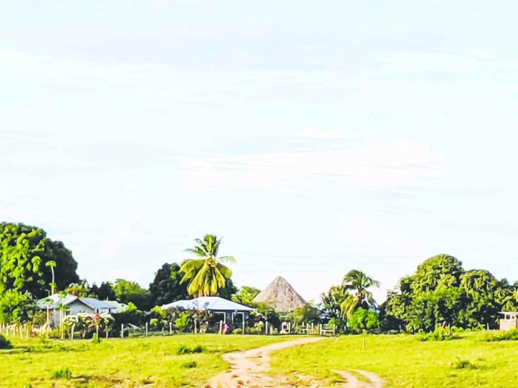 The Wapichan territory: Life in South Rupununi - Guyana Times