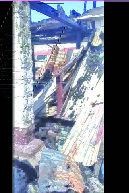 Early morning fire ravages Mon Repos home - Guyana Times