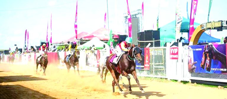 Developments in local horse-racing: Rachel lands biggest payday ...