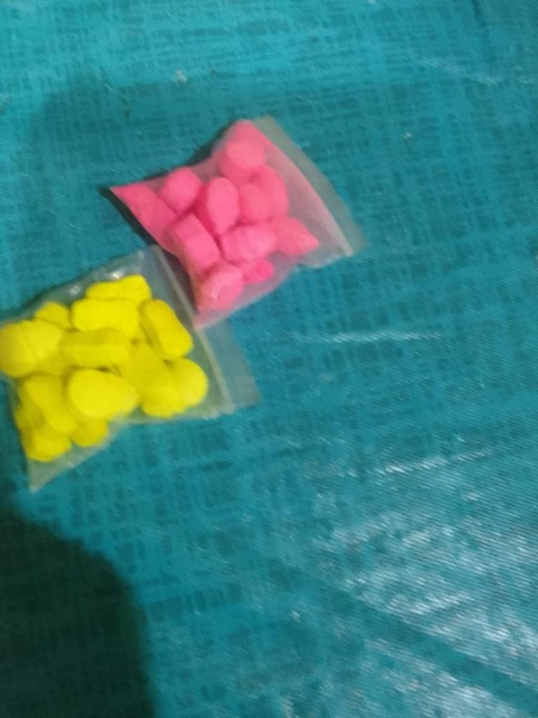 Charity woman busted with Ecstasy - Guyana Times