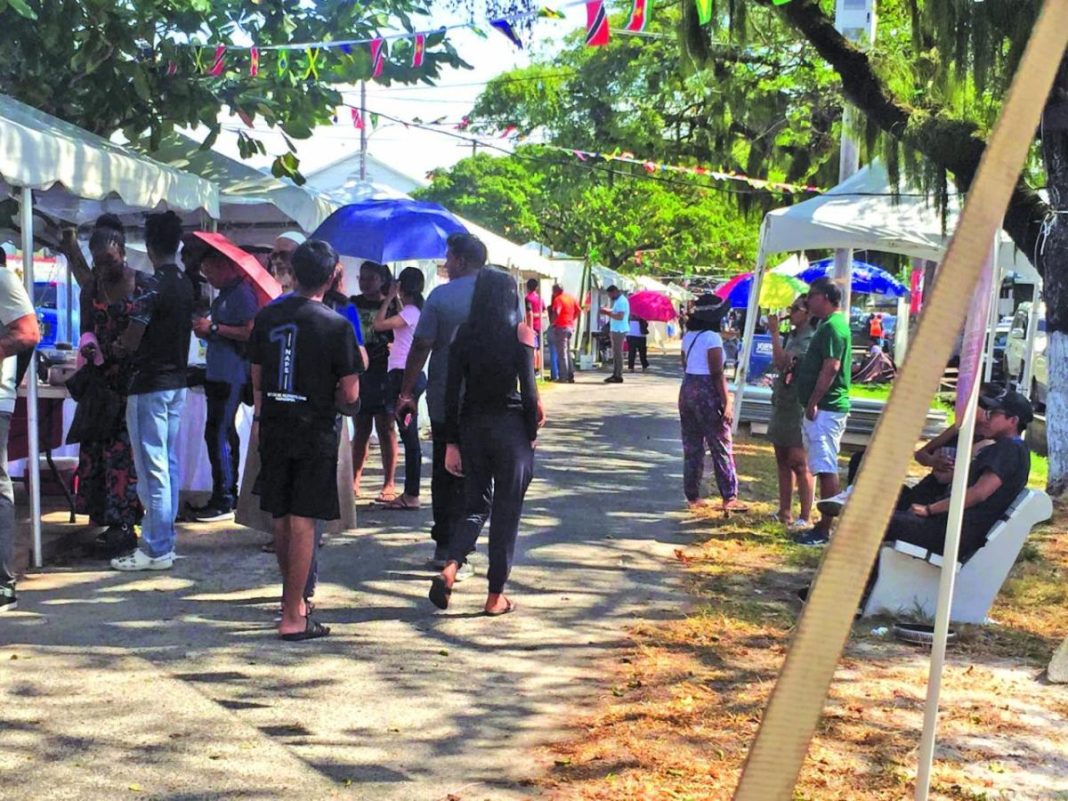 “Tasinpansa” lights up Main Street Avenue - Guyana Times