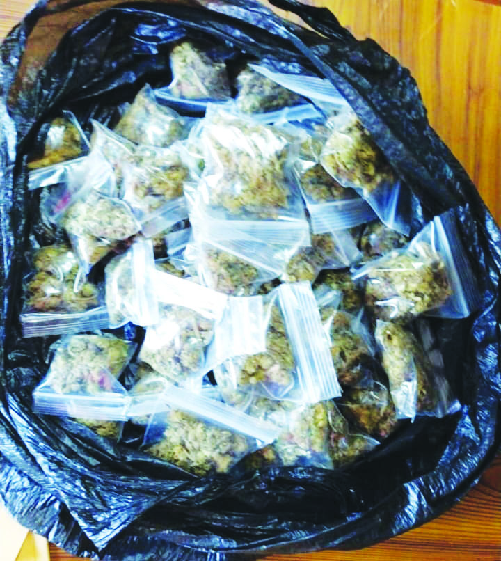 Major ganja busts made during Police river patrol - Guyana Times