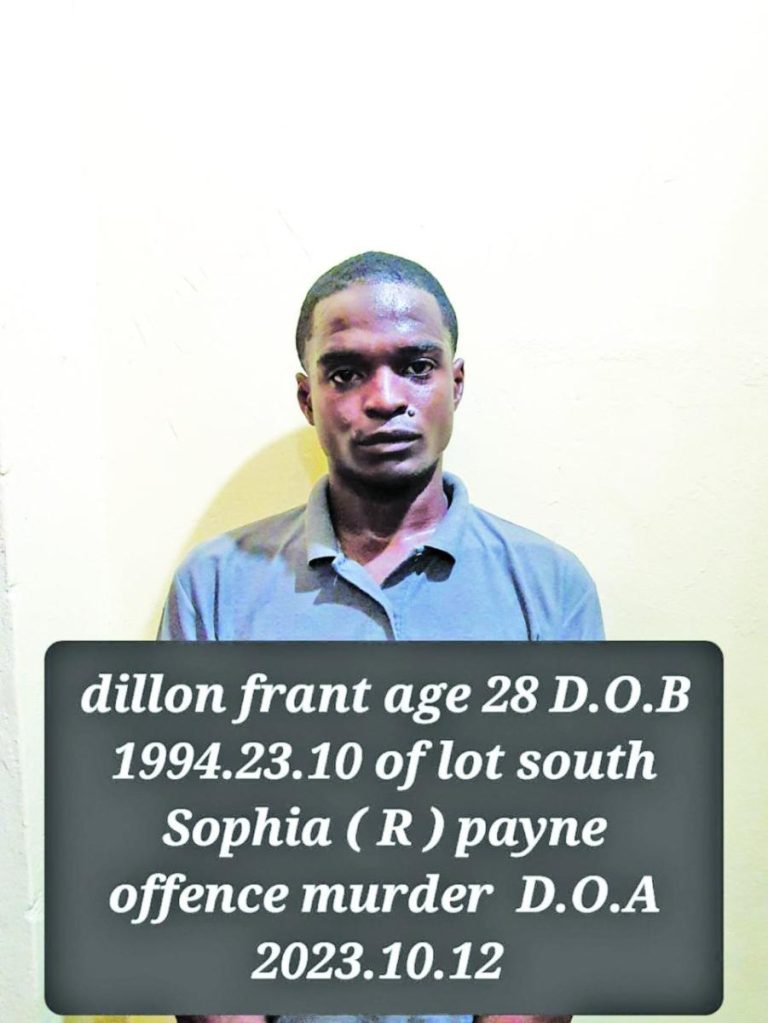Sophia man arraigned for killing father of 2 - Guyana Times
