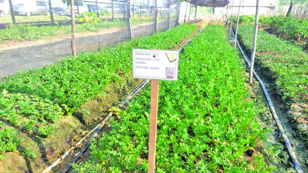 $16M model farm opens at Fort Wellington - Guyana Times