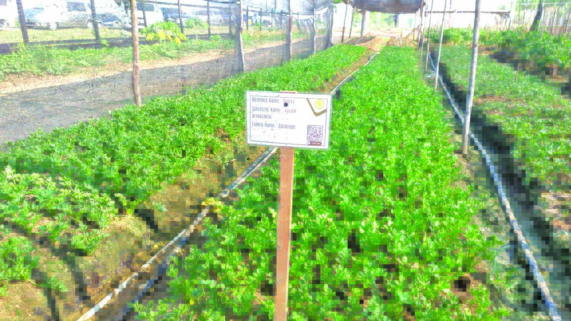 $16M model farm opens at Fort Wellington - Guyana Times