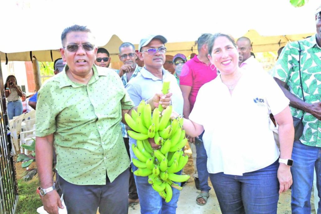 $16M model farm opens at Fort Wellington - Guyana Times