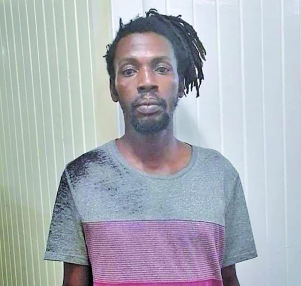 Bus driver on $1M bail for causing death of Chinese national - Guyana Times