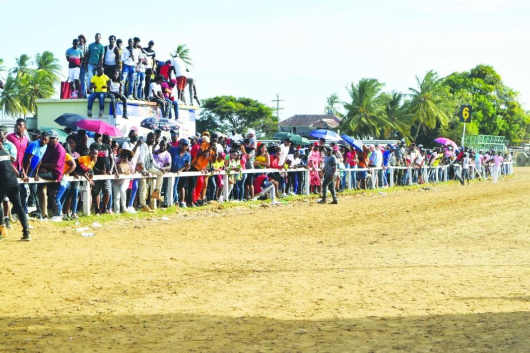 Bush fire creates concerns for Rising Sun track - Guyana Times