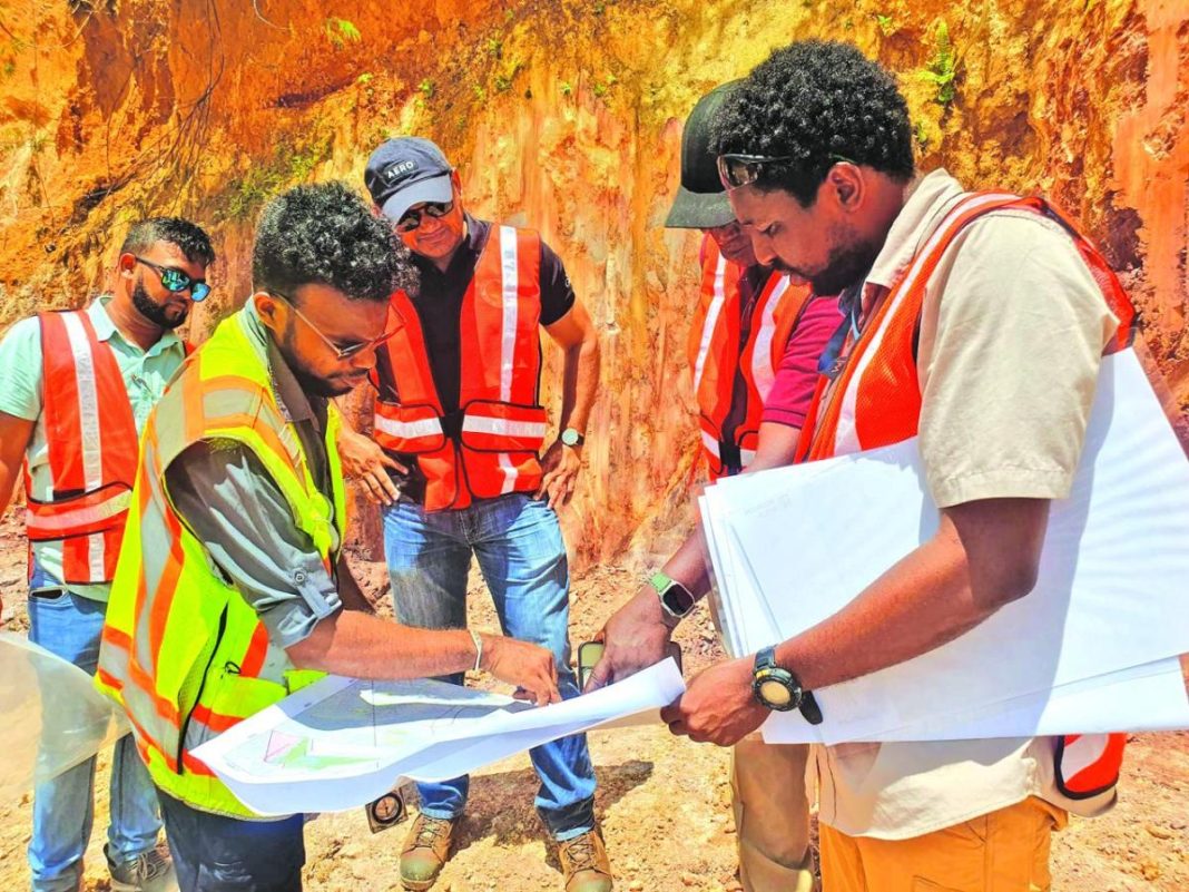 Oko West gold project has potential to be large-scale mine – Govt ...