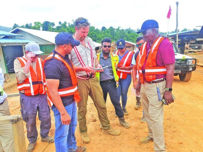 Oko West gold project has potential to be large-scale mine – Govt ...