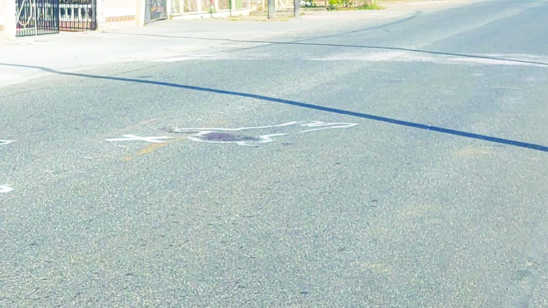 Mother of 5 crushed by speeding GDF vehicle - Guyana Times