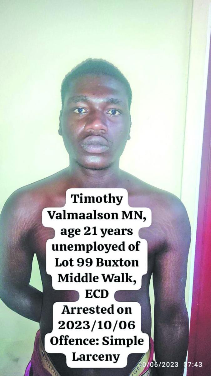 Buxton resident gets 6 months on simple larceny charge - Guyana Times