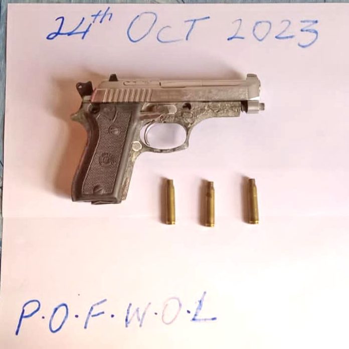 Guard nabbed with illegal gun, spent shells - Guyana Times