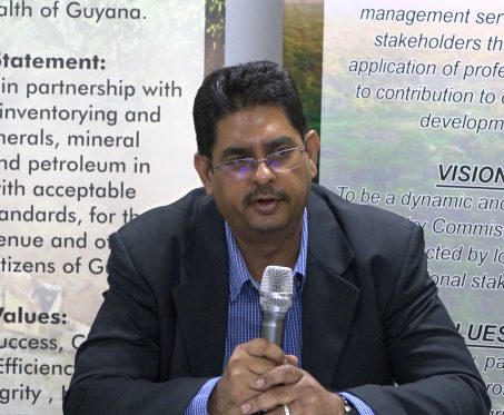 Forestry sector has seen ‘strong recovery’ in last 3 years – acting ...