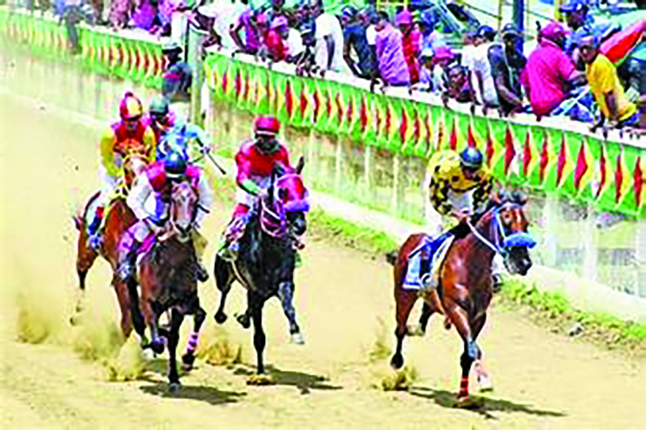 New records expected at Boxing Day horse racing - Guyana Times