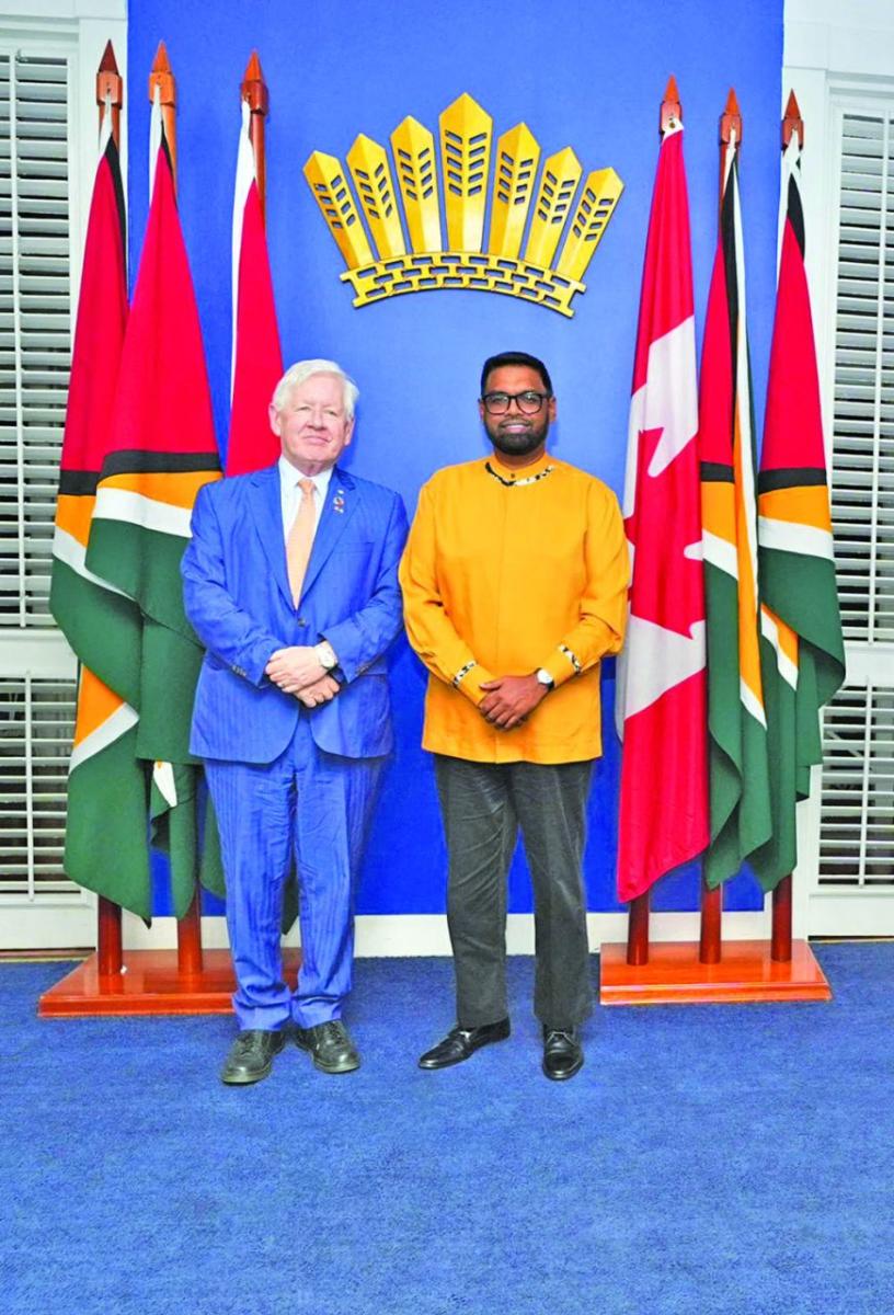 Pres Ali, Canadian UN Representative discuss shared regional ...