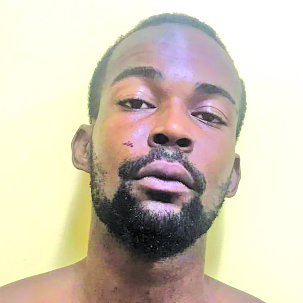 Labourer slapped with felonious wounding charge - Guyana Times