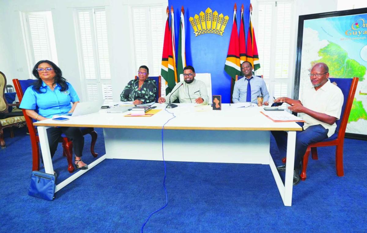 Meeting of Caricom Heads discusses situation in Haiti - Guyana Times