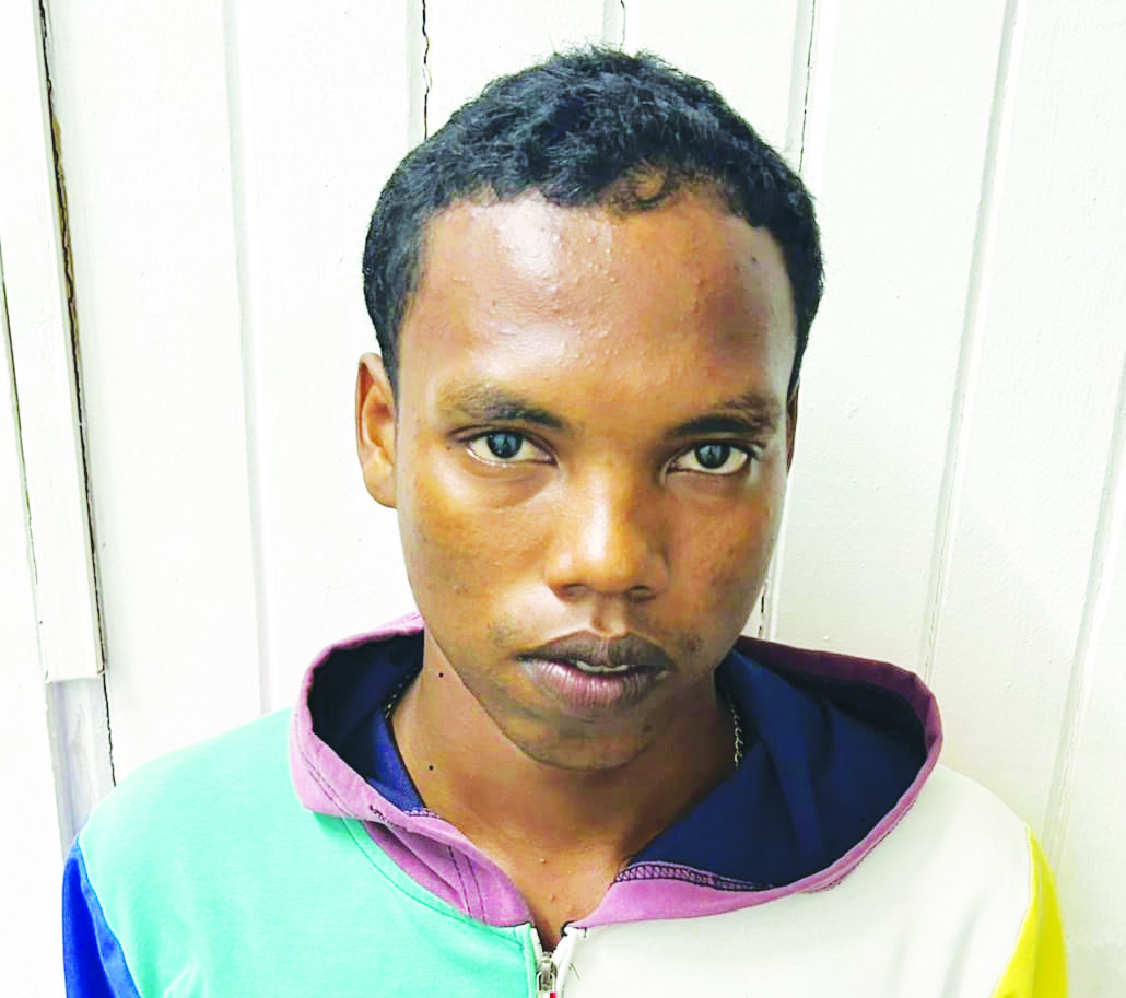 “Thief! Thief!” – homeowner screams after seeing bandits in home ...