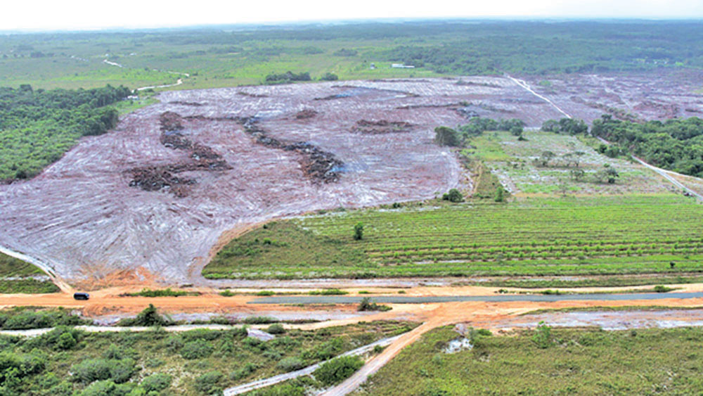 Silica city master plan expected by mid-2024 - Guyana Times