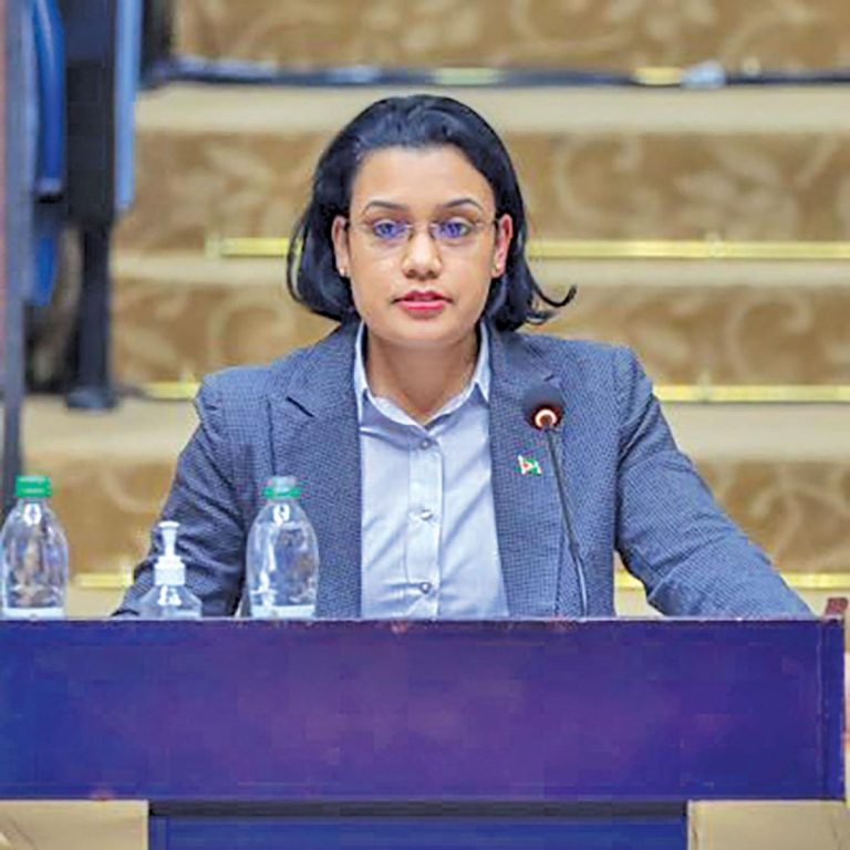 Silica city master plan expected by mid-2024 - Guyana Times