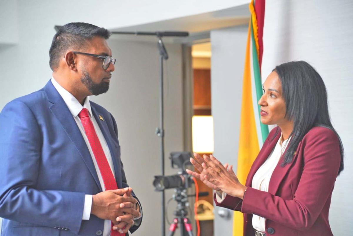 President Ali meets with NYPD’s deputy commissioner - Guyana Times