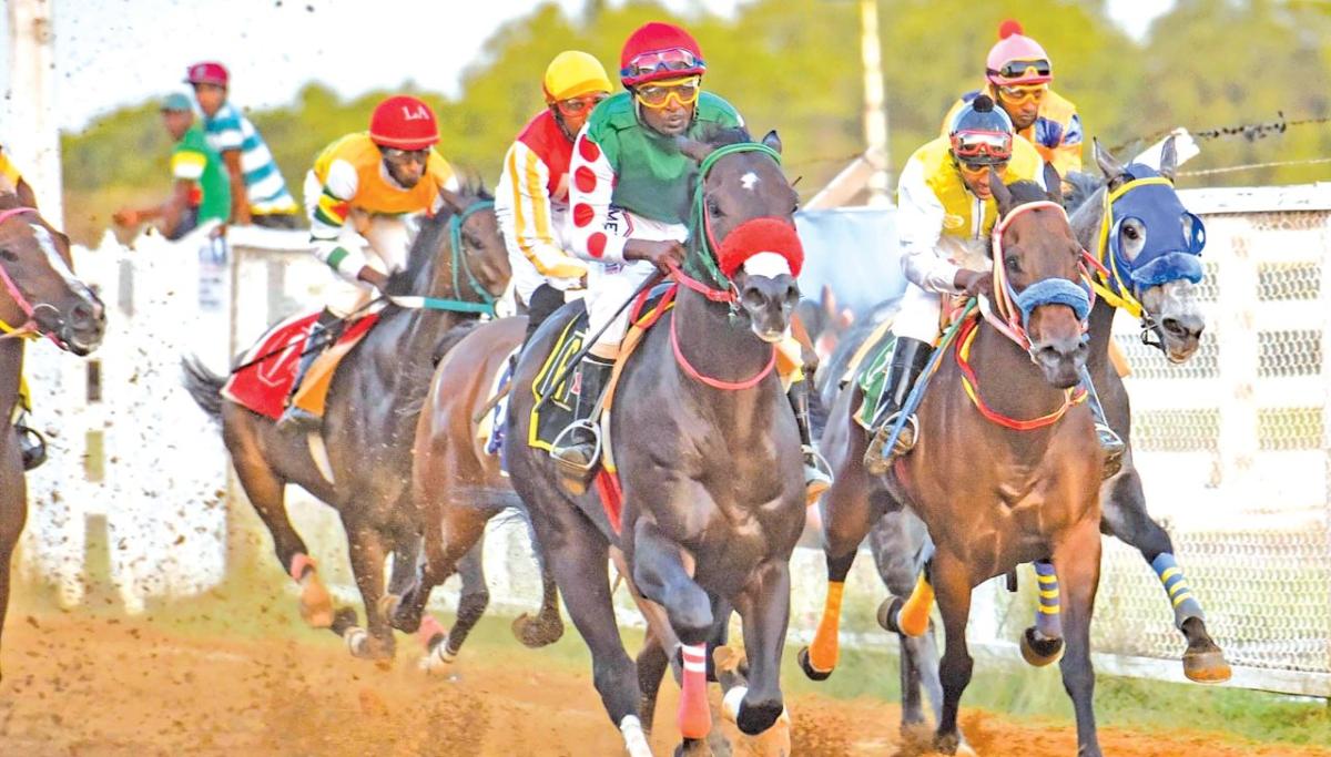 Top horses entered for Jumbo Jet’s Mashramani race - Guyana Times