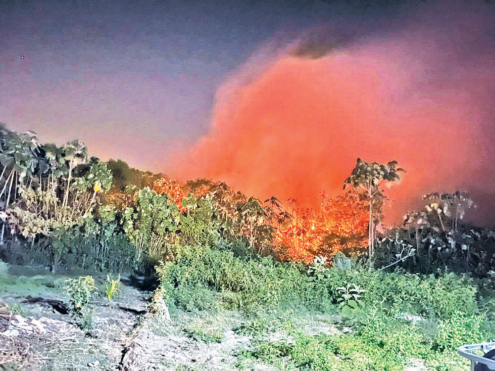 100-person team douse wild fire in Central Rupununi - Guyana Times