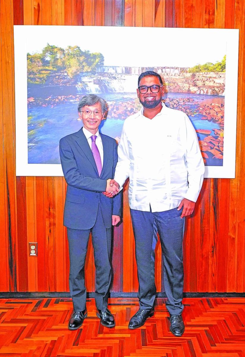 President Ali, Finance Minister meet with IMF Deputy Managing Director ...