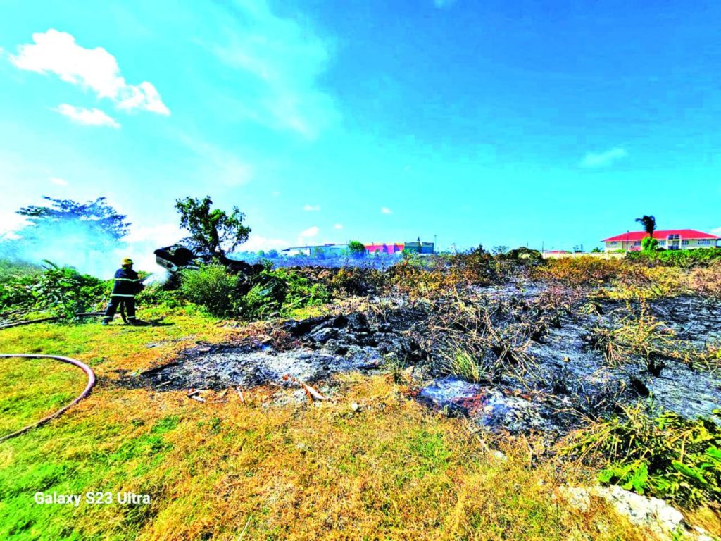 Fire Service contains rapid grass fire at UG road - Guyana Times
