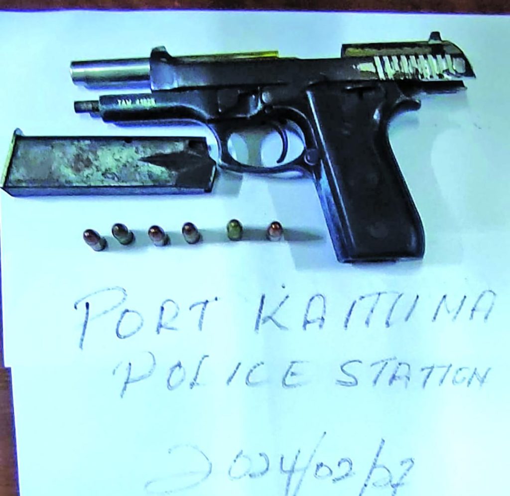 Region 1 man nabbed with illegal gun, ammo, drugs - Guyana Times