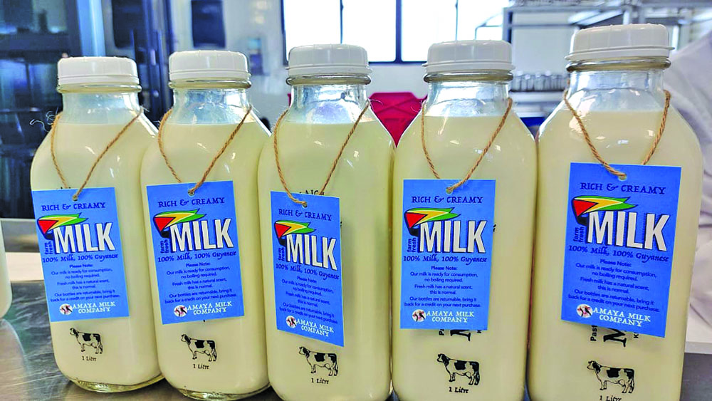 Amaya Milk Company faces several challenges in reaching start-up ...