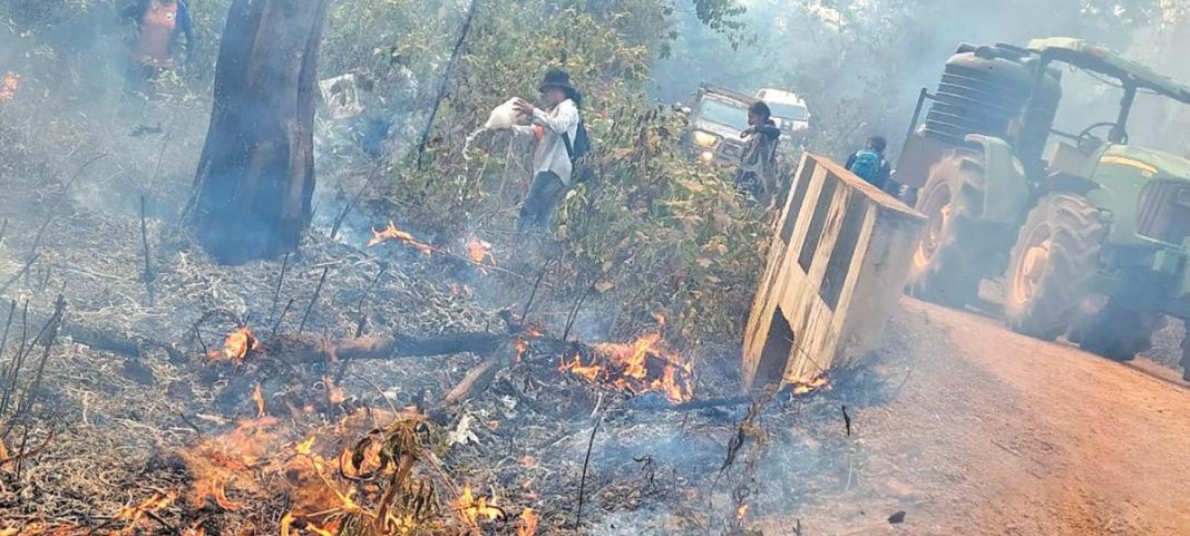 Public urged to help combat forest fires - Guyana Times