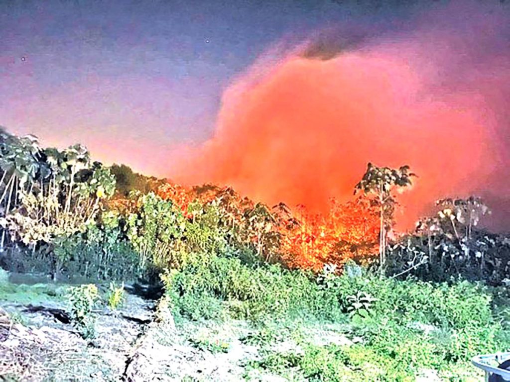 Upsurge of bush fires recorded – GFS - Guyana Times