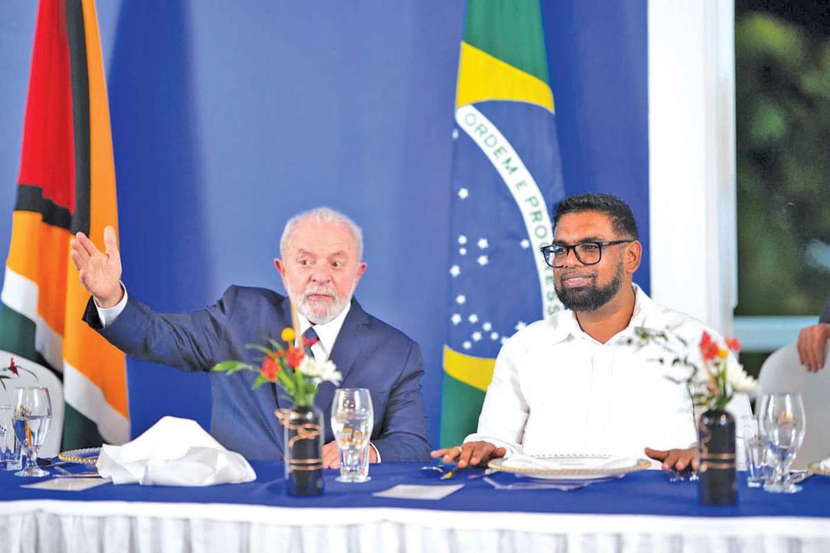Brazil invites Guyana to take forest monetisation model to G20 - Guyana ...