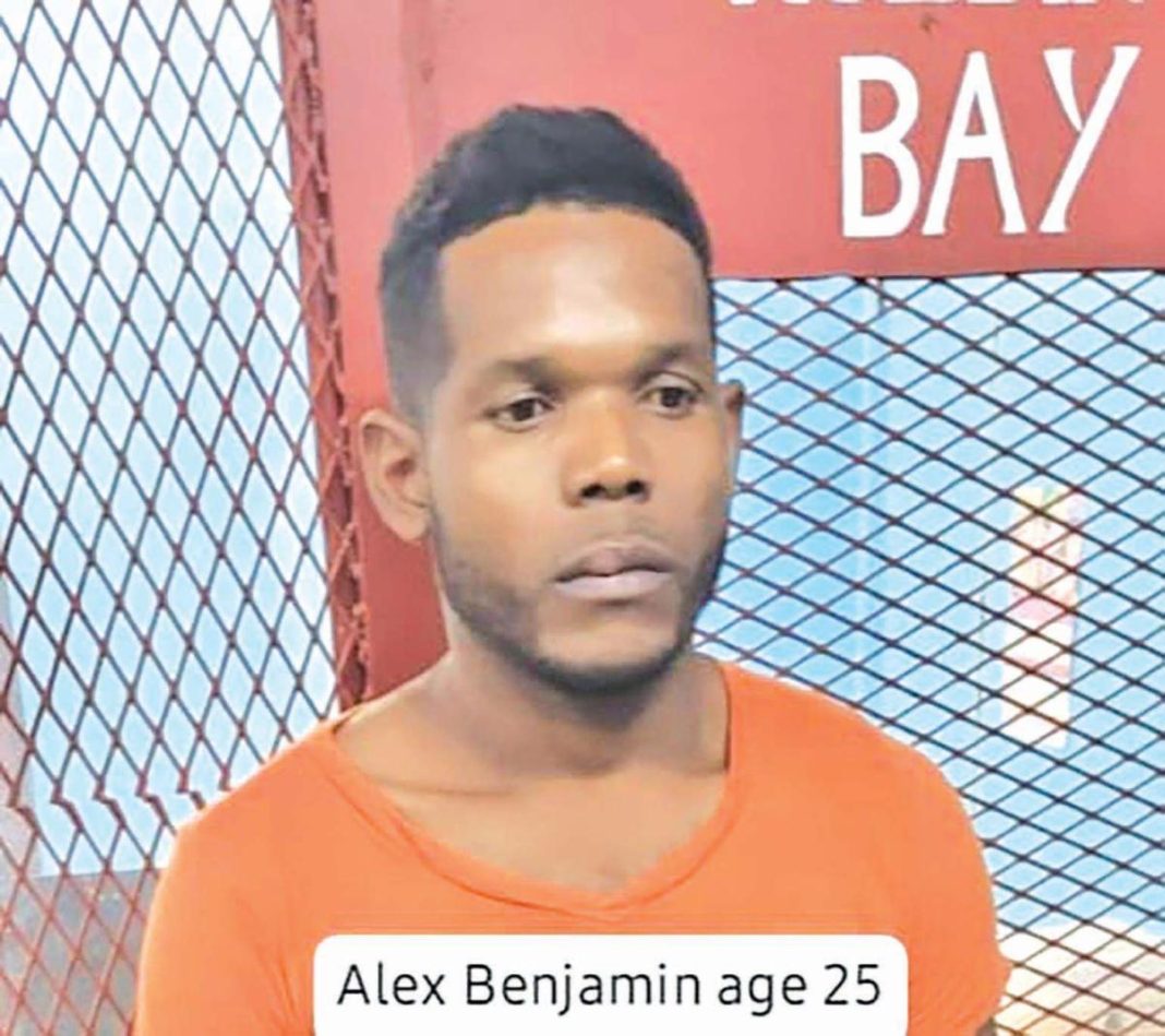 Miner jailed for assaulting cops - Guyana Times