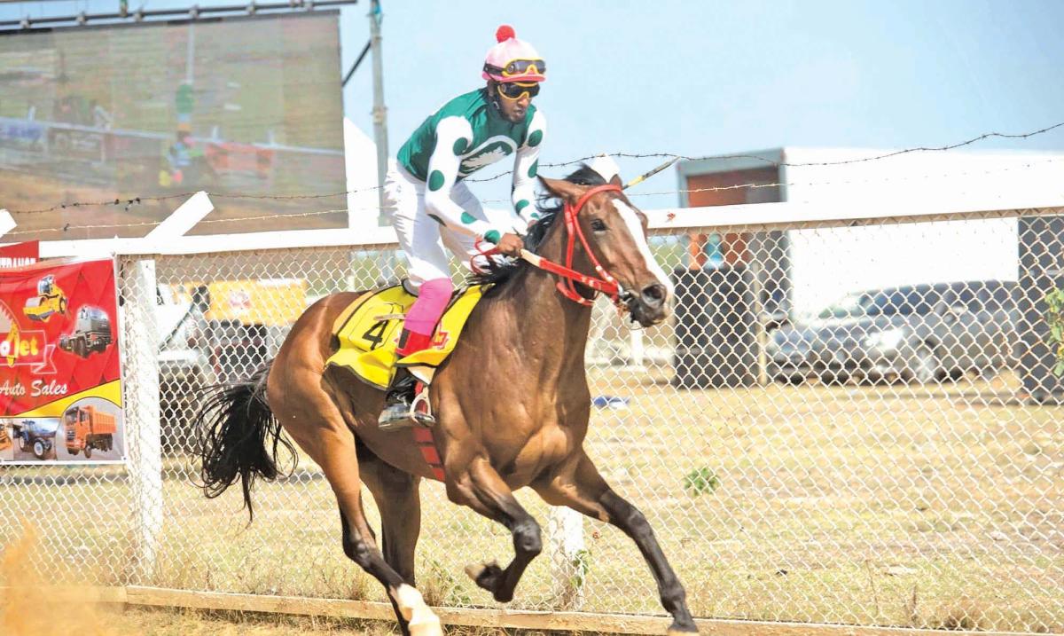 Appadu leads Guyana jockey points standing after race 4 - Guyana Times