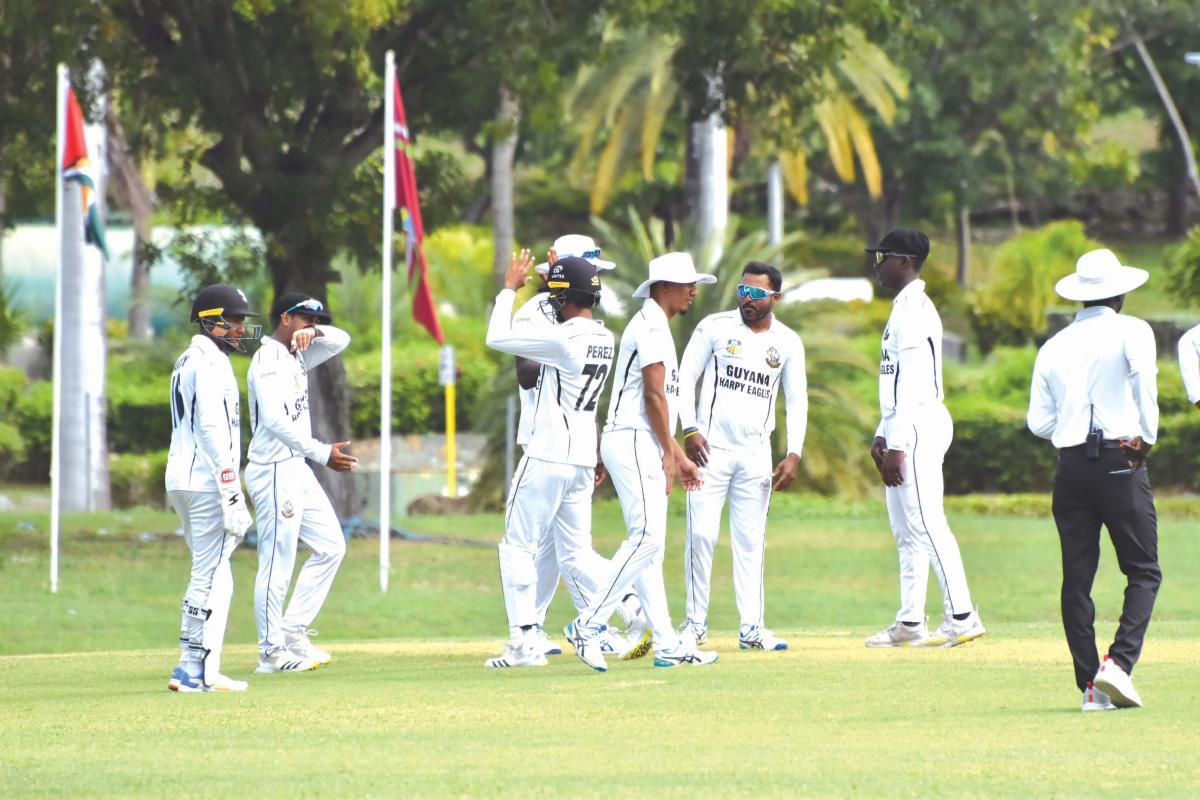 West Indies 4-Day Championships 2024: Harpy Eagles in 8-wicket win over ...